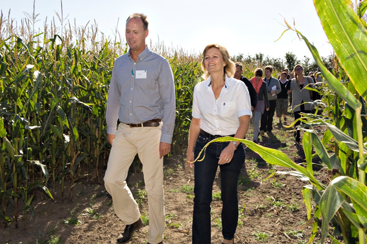 Results from Danish Roundup trials for Monsanto genetically modified ...