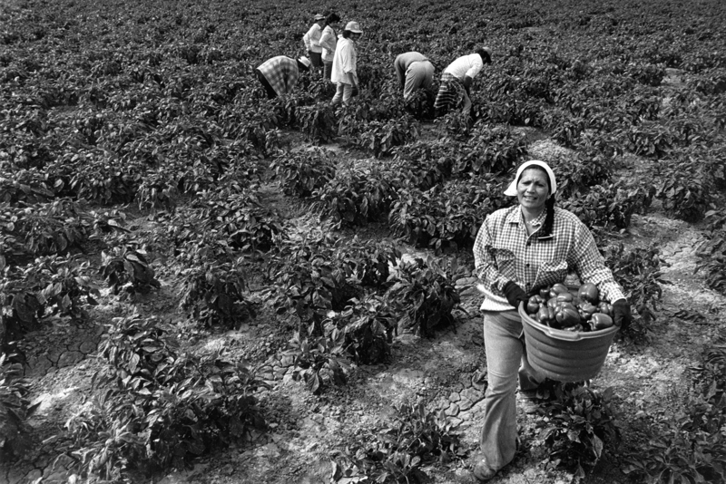 Farmworker Housing - Investigate Midwest