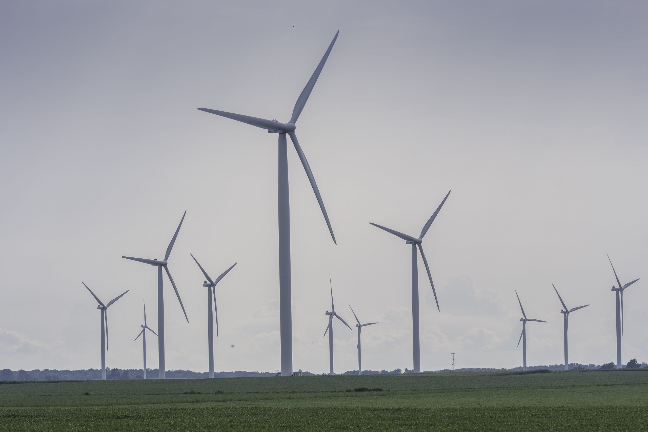Federal government expected to lose more than $20 billion on wind ...