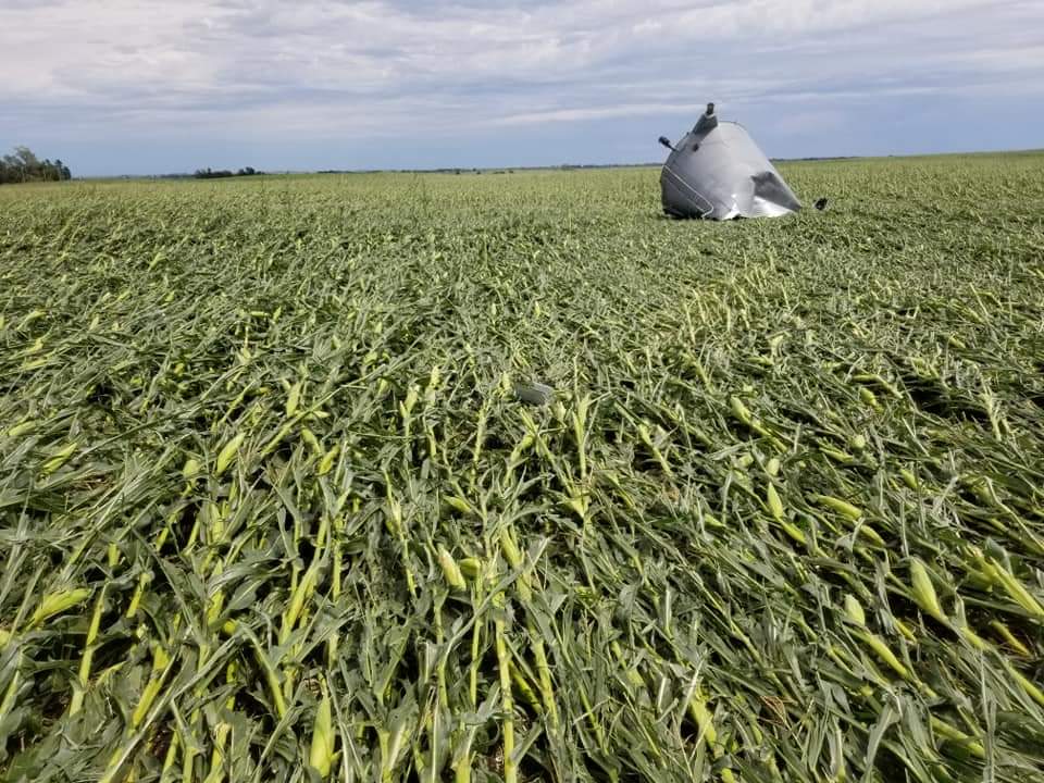 Farmers reeling after storm rips through millions of acres of crops ...