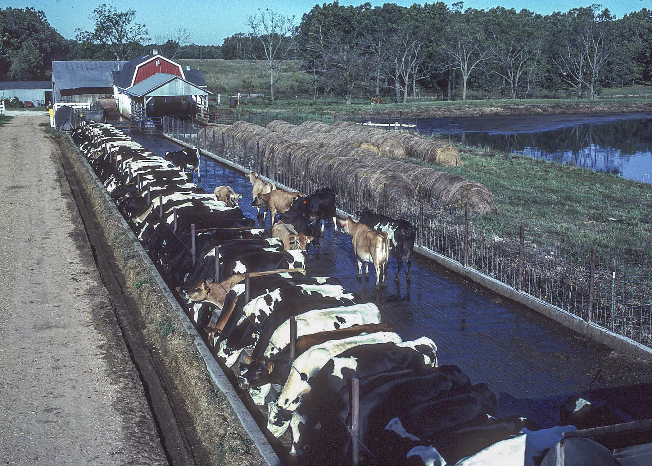 GRAPHIC: Majority of new CAFOs were built in Iowa last year ...