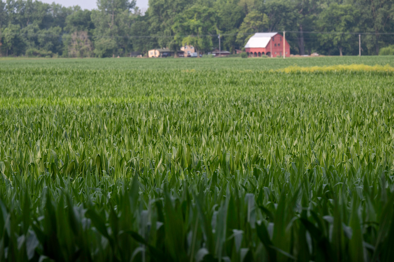 GRAPHIC: Farm bankruptcies hit record low in 2022 - Investigate Midwest