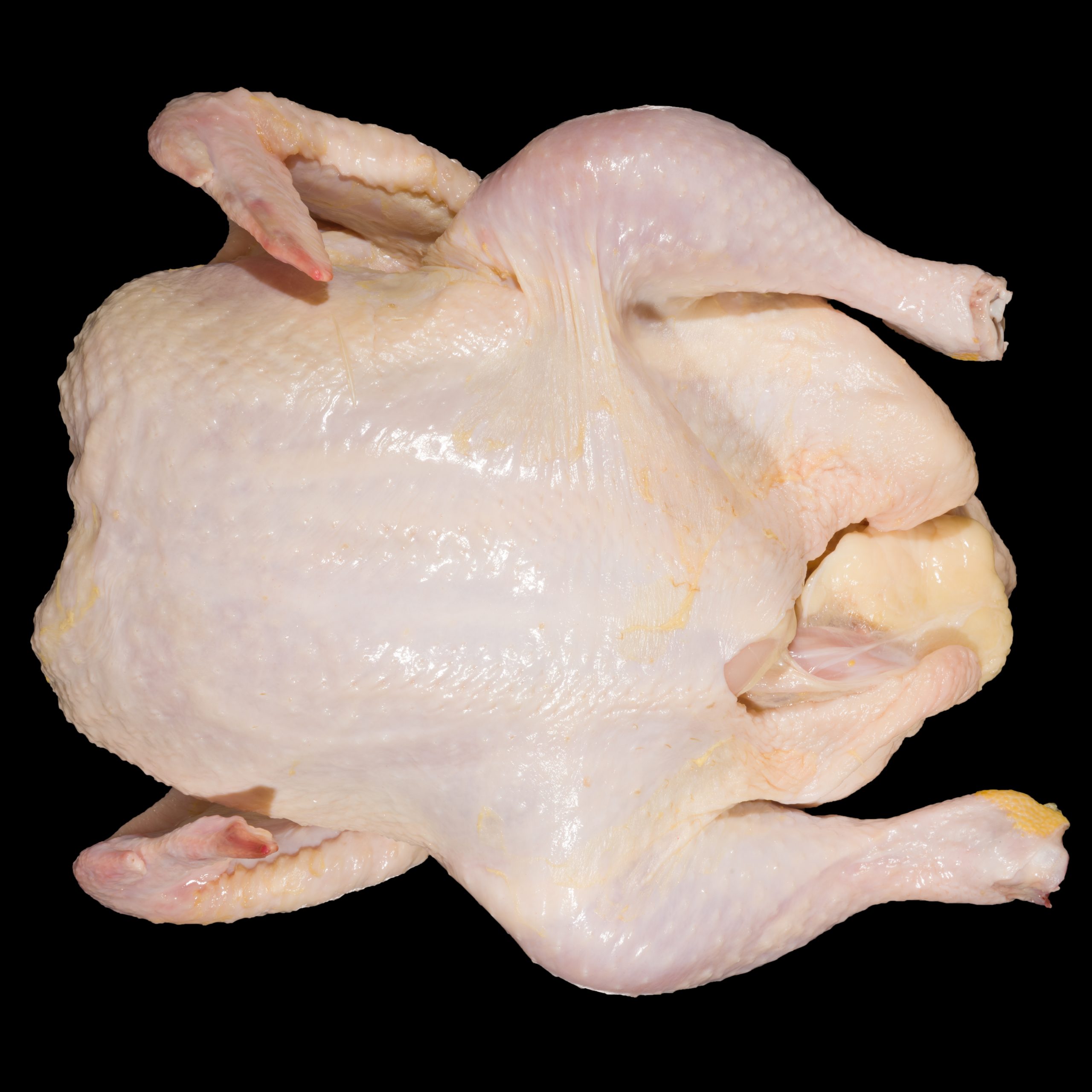GRAPHIC: Chicken prices continue to rise, costing U.S. consumers more ...