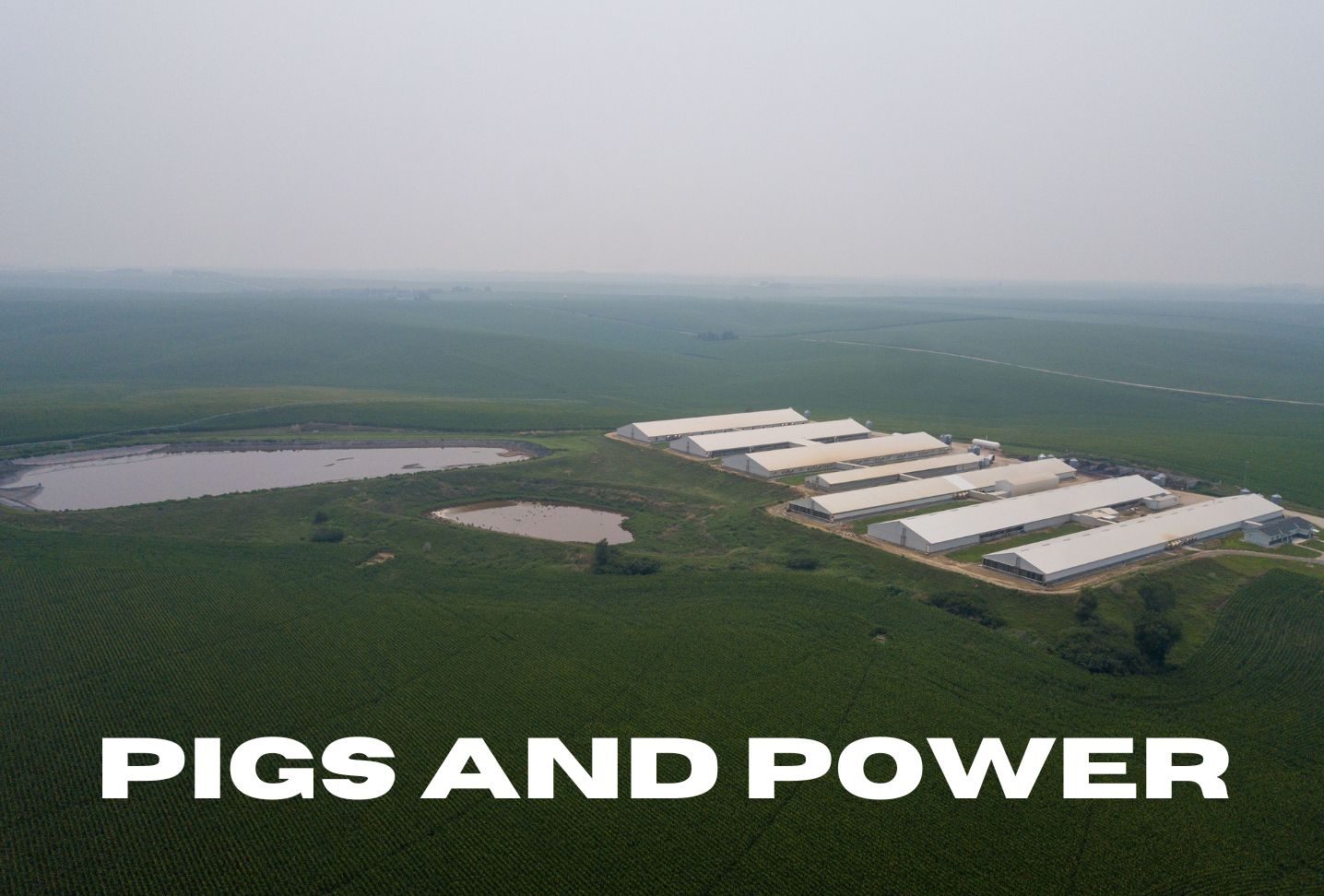 Pigs and Power - Investigate Midwest